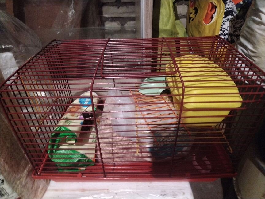 Клетка для грызунов