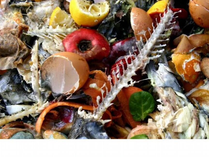 Отходы питания Бесплатно