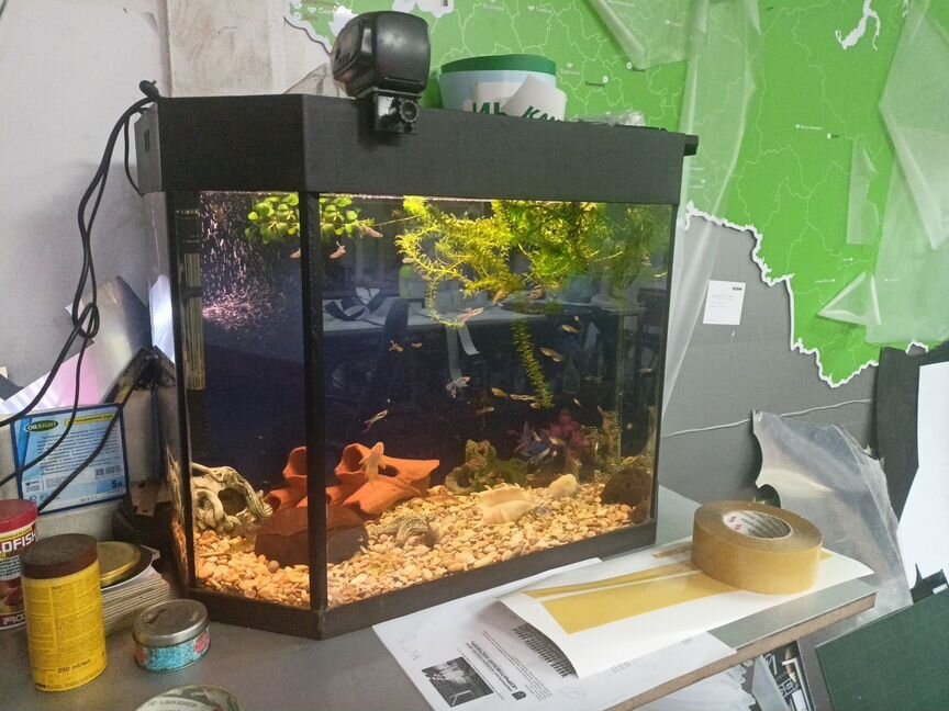 Аквариум ширина 650, высота 510, глубина 350мм