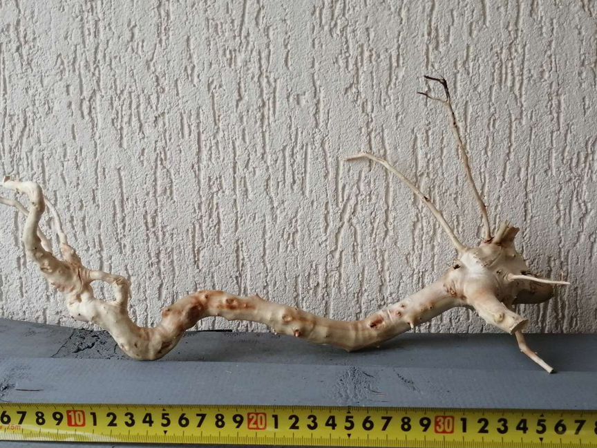 Коряги для аквариума, террариума, декора