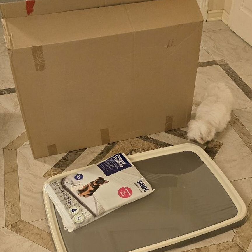 Лоток для собак Savic Puppy trainer XL