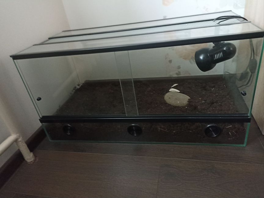 Террариум 80/40/40 с уф лампой Аркадия 10%