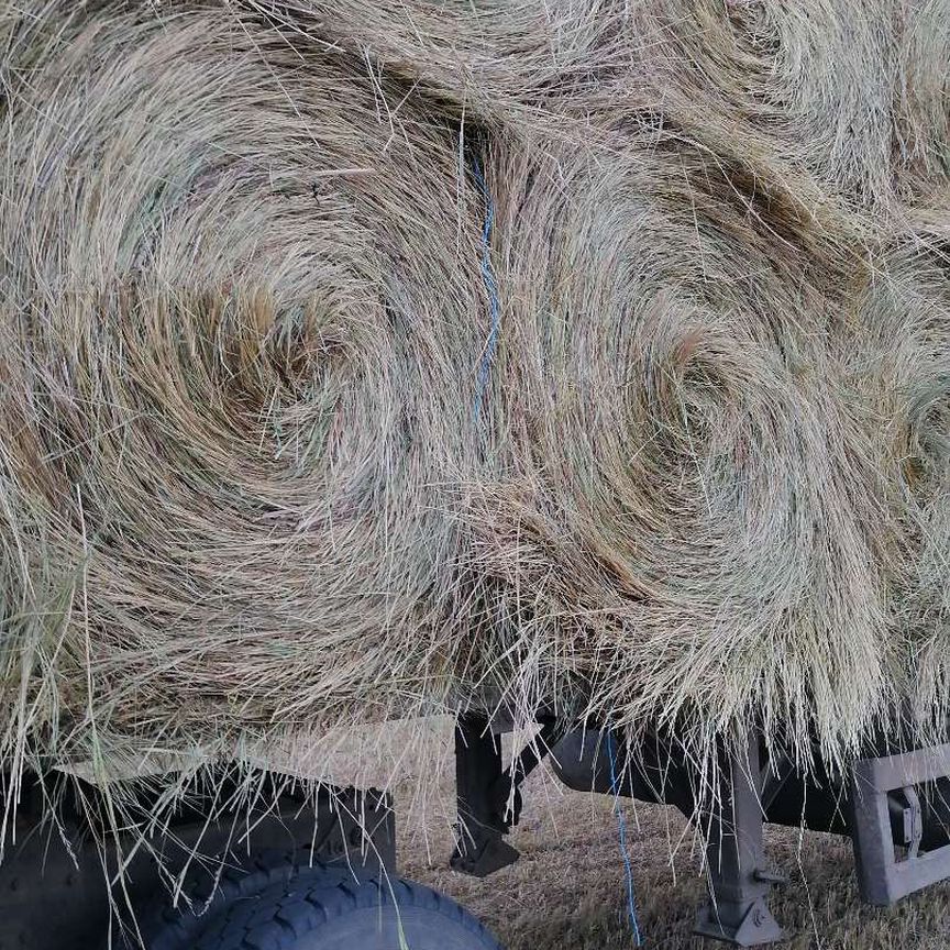 Сено в рулонах с доставкой