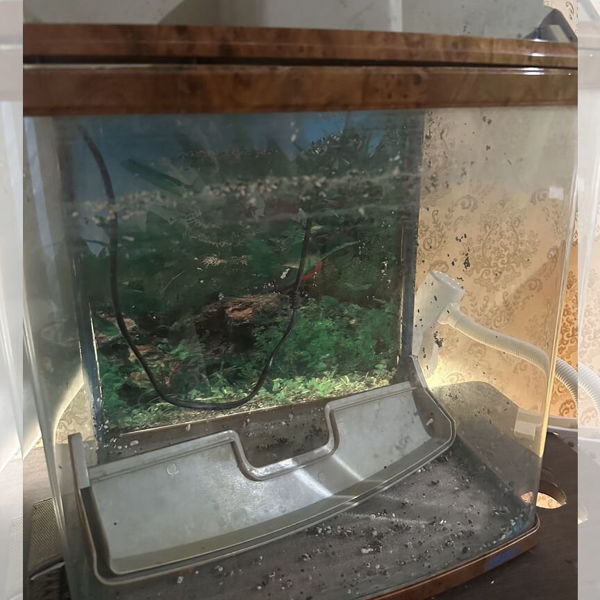 Аквариум с подсветкой