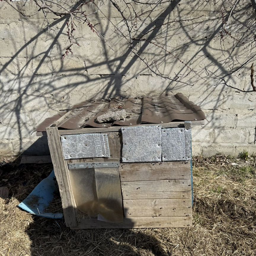 Будка для собаки