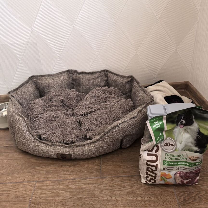 Лежанка и миски в приют для собак