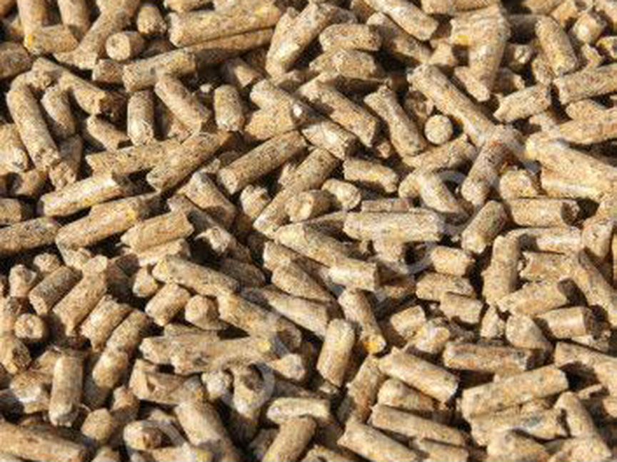 Корм / комбикорм откорма бычков и молодняка