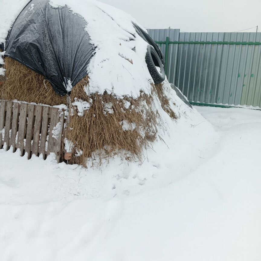 Сено россыпью