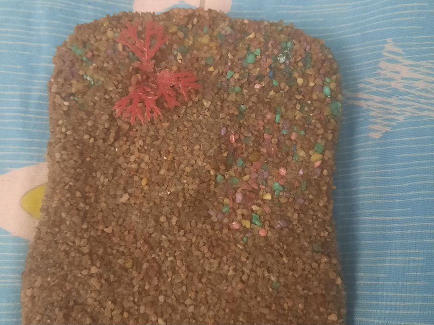 Мостик для черепахи