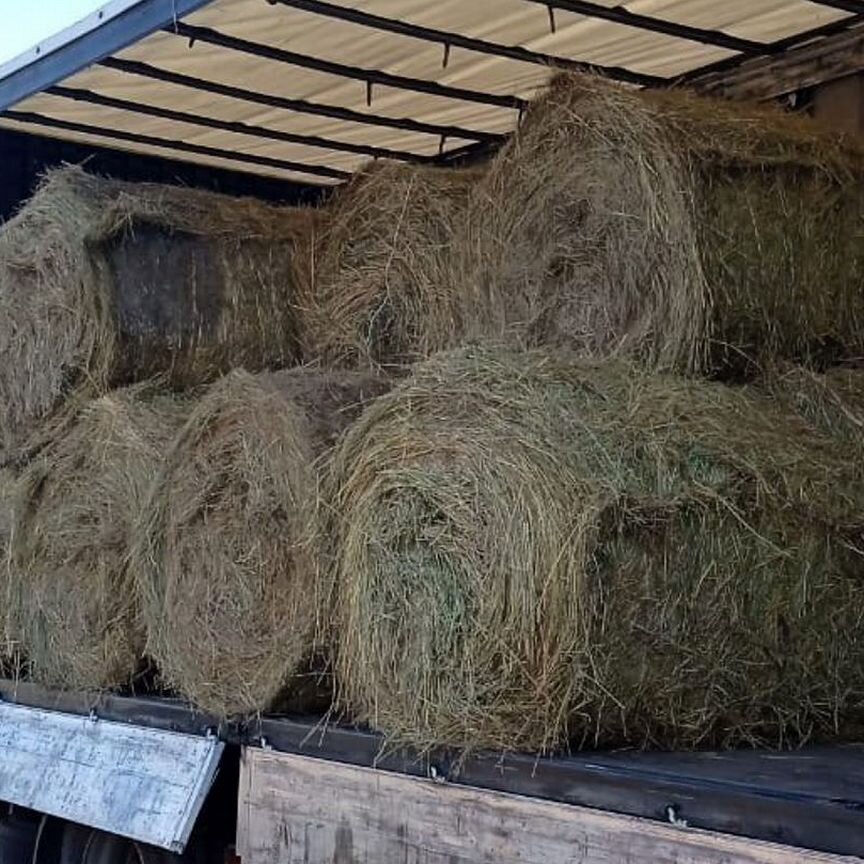 Сено с доставкой