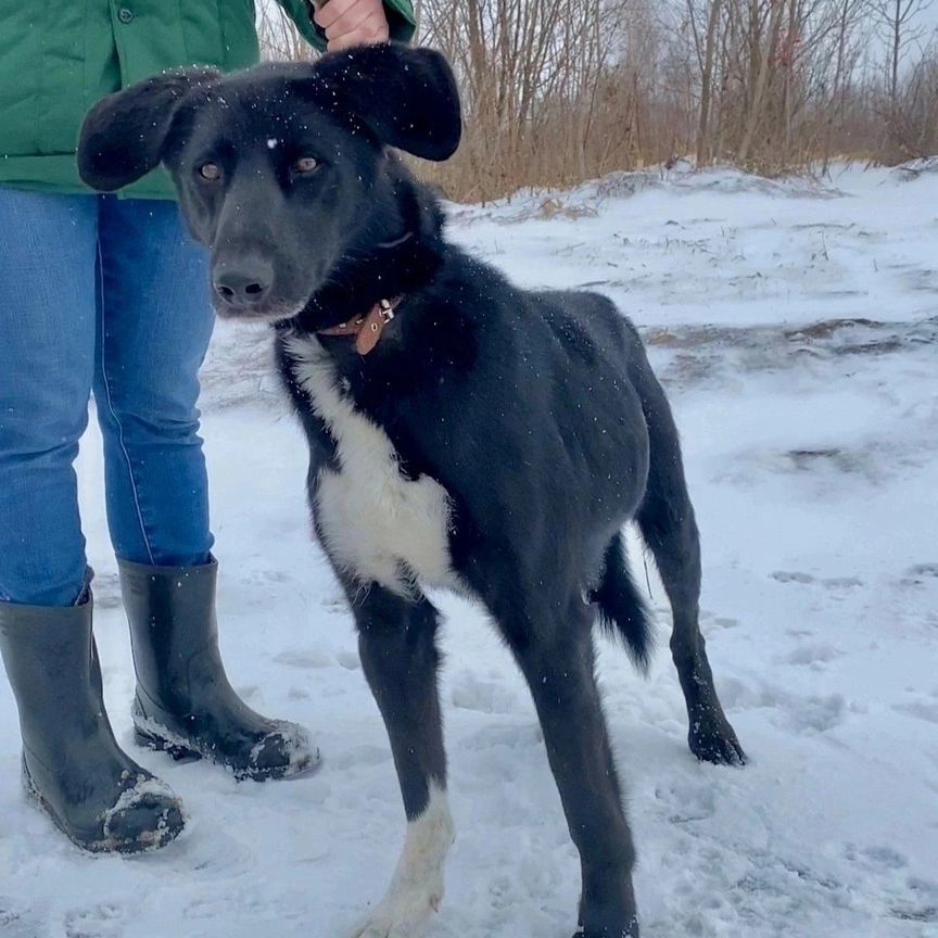 Красотка Эрика