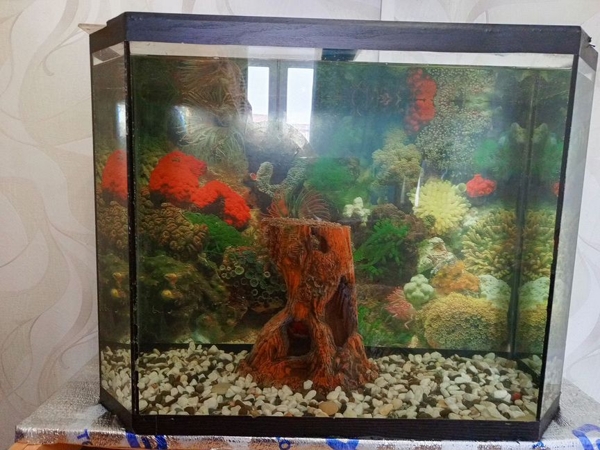 Аквариум