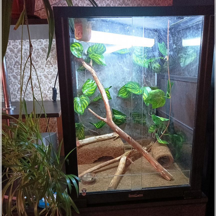 Террариум Repti zoo 45x45x60