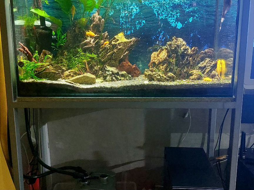 Аквариум в сборе 160 литров, стойка металлическая