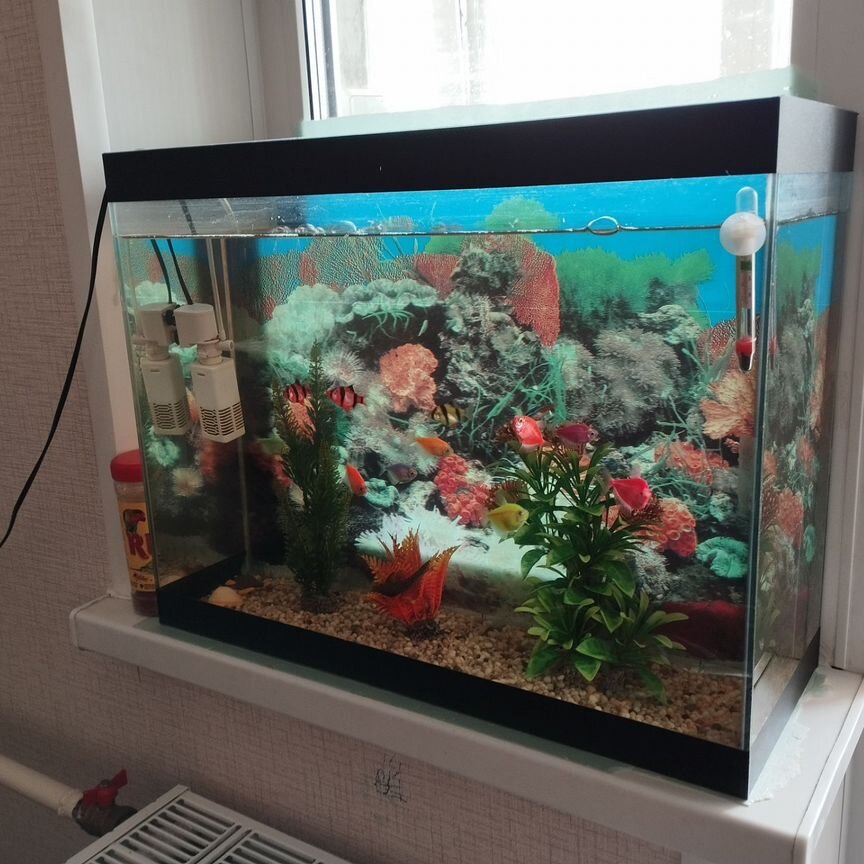 Аквариум с рыбками 50 литров