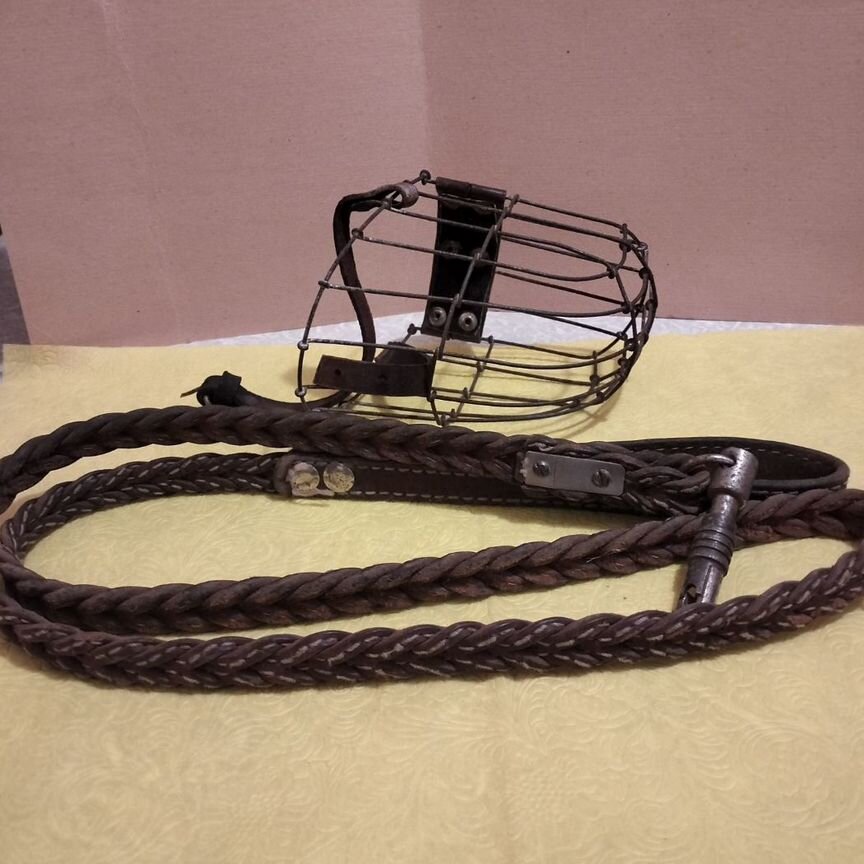 Поводок и металлический намордник