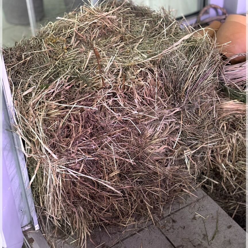 Сено в брикетах