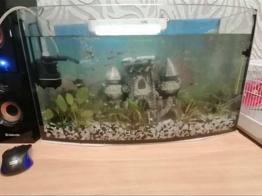 Аквариум большой бу