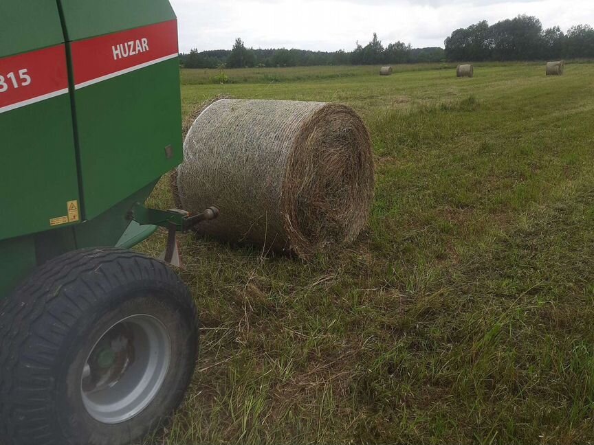 Сено гатчинское, измельченное, 2023 г