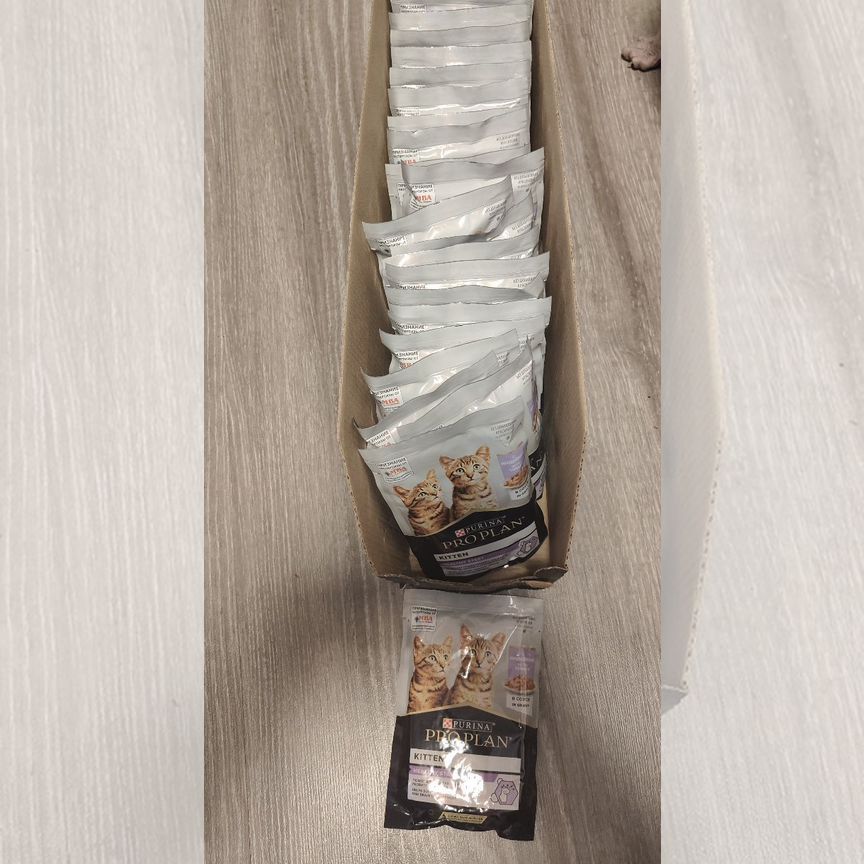 Pro plan для котят влажный для котят