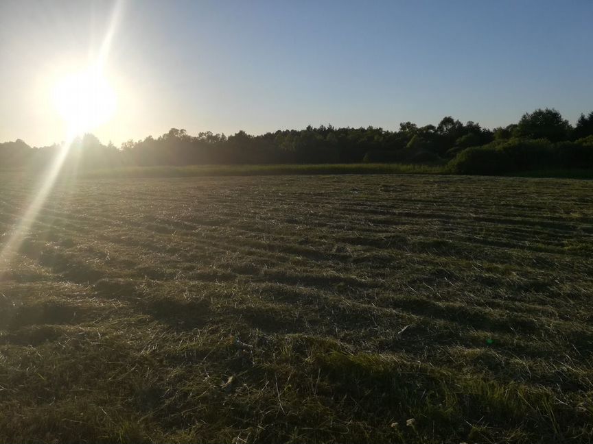 Сено в тюках