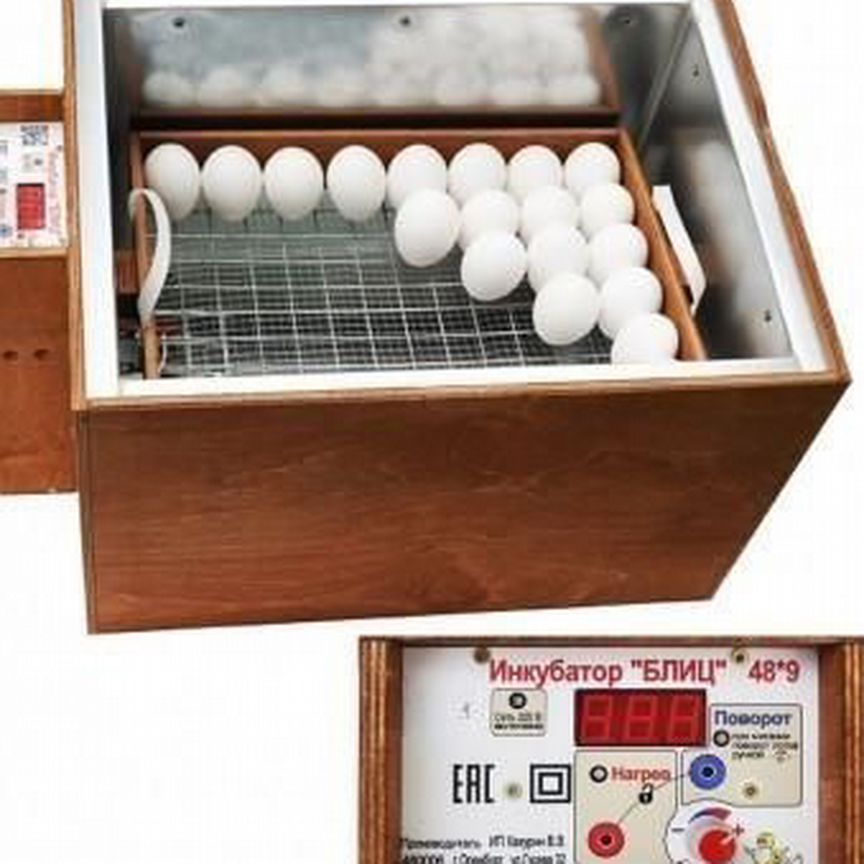 Инкубатор для яиц