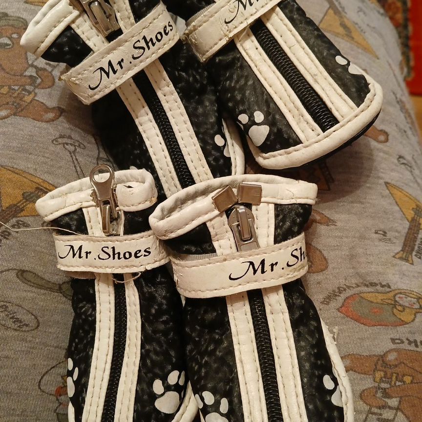 Обувь для маленьких собачек