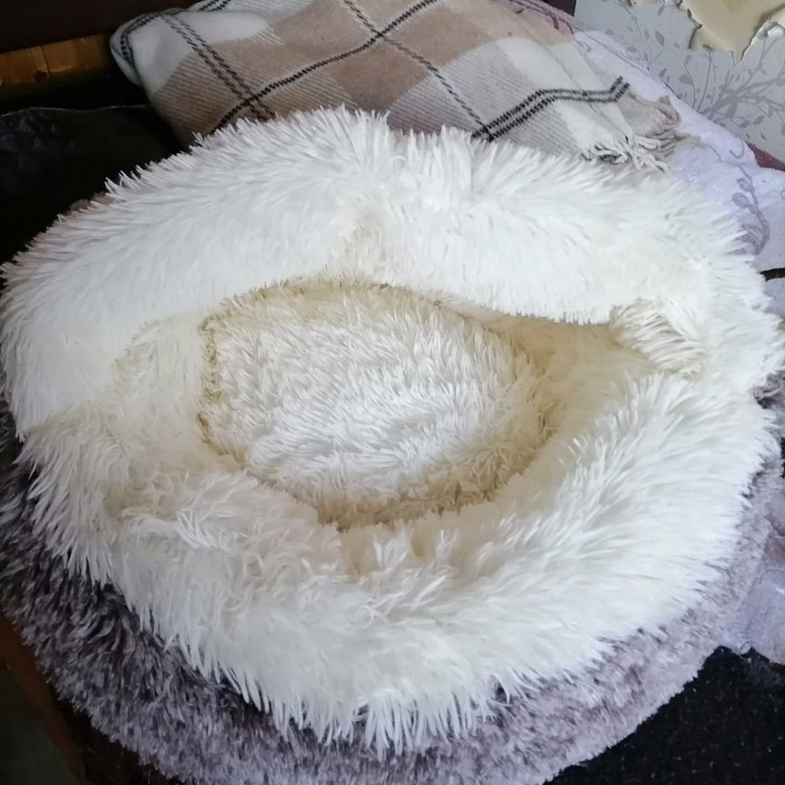 Домик-Лежак для кошки или маленькой собаки