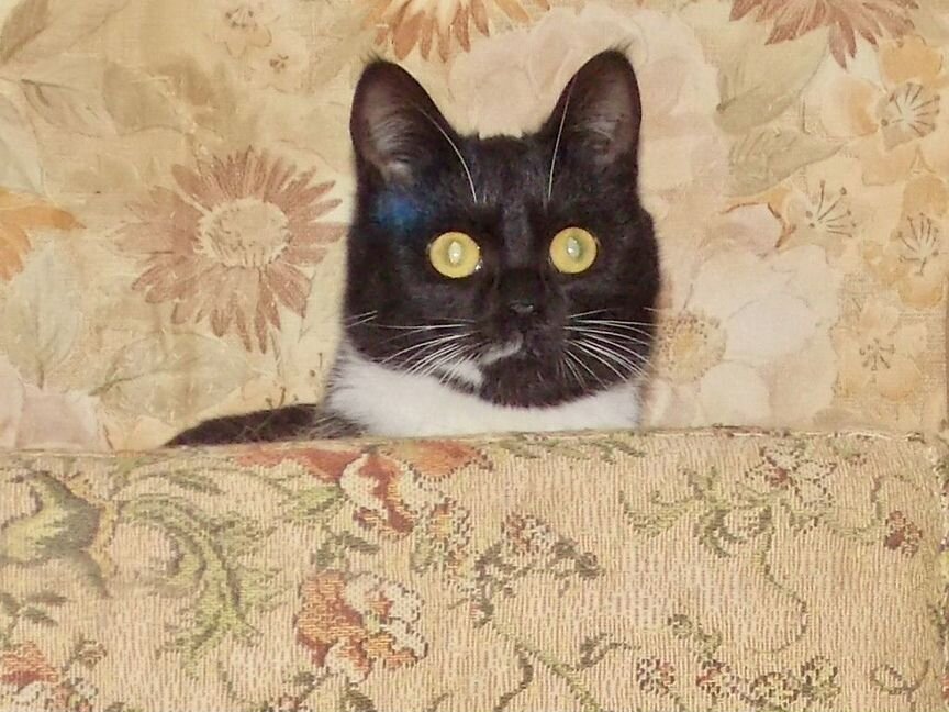 В ответственные руки