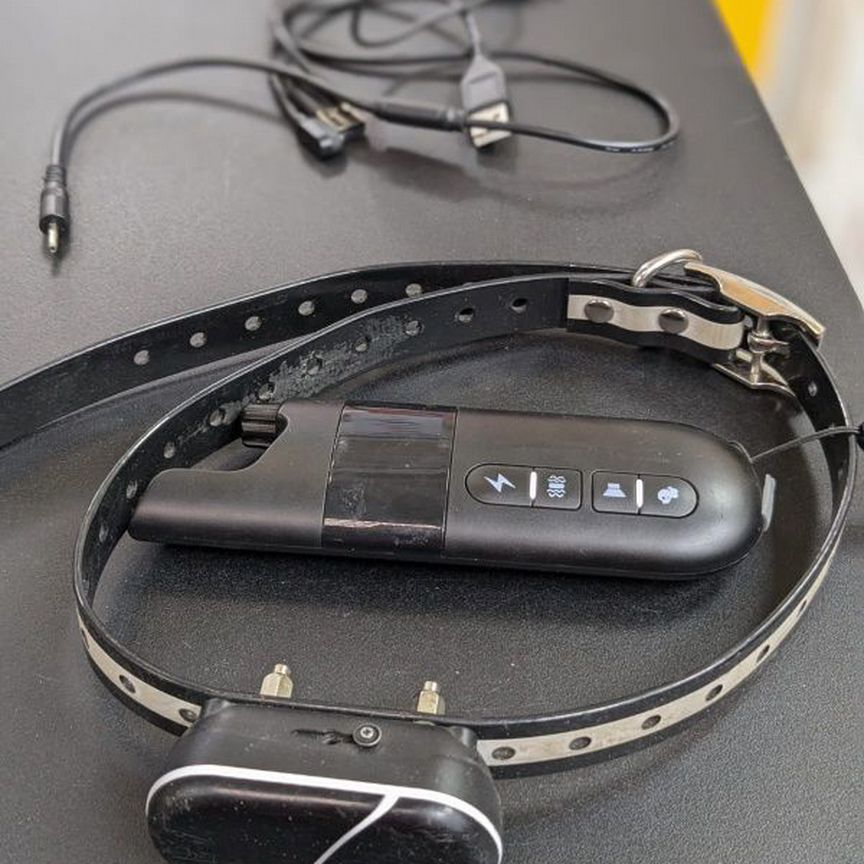 Оргтехника Электроашейник