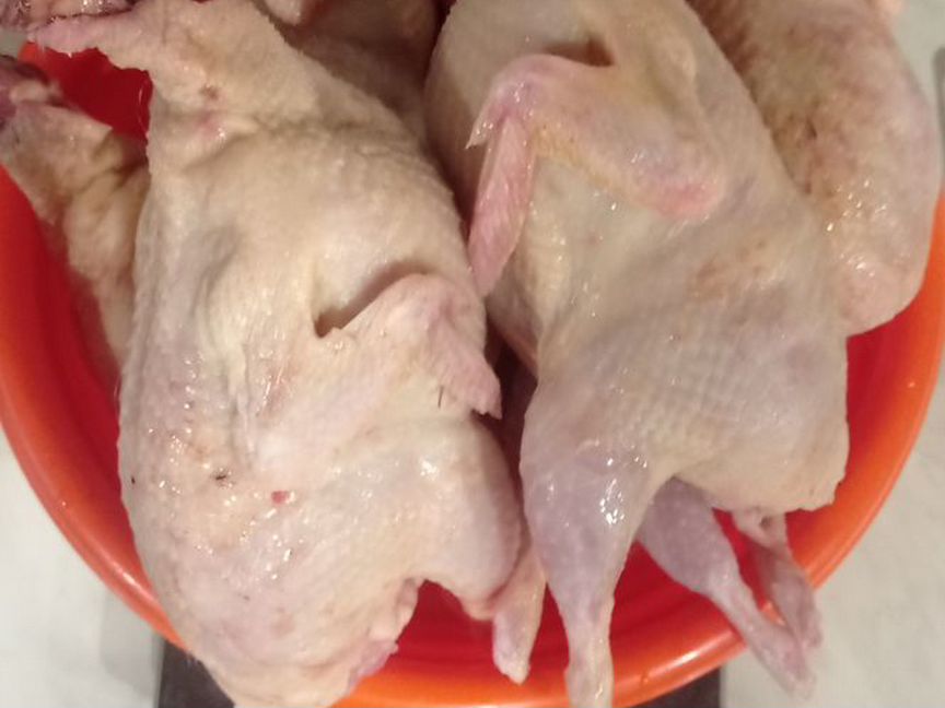 В продаже есть свежие тушки перепелов