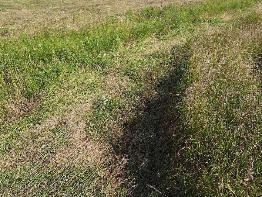 Сено в тюках костер пырей