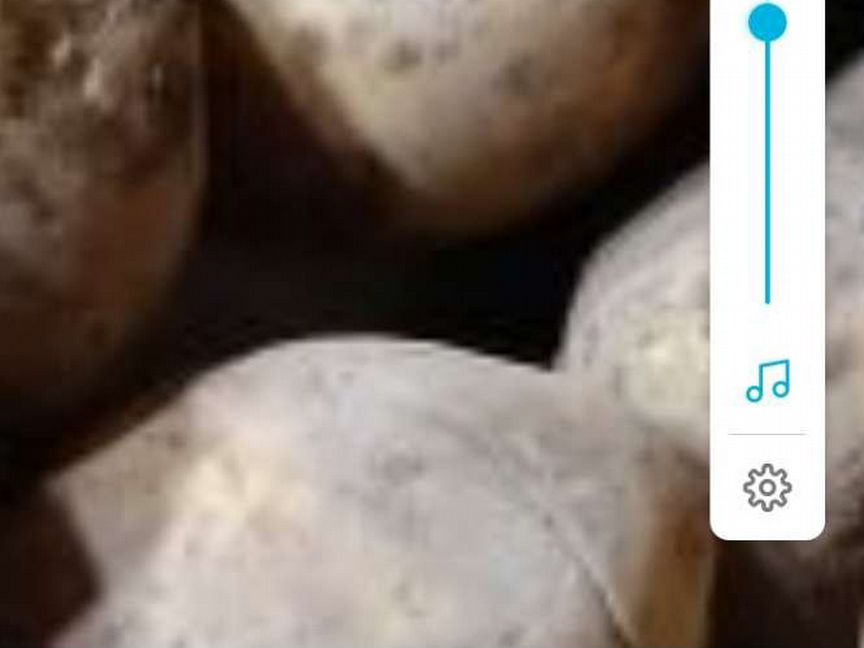 Картошка, корм для животных