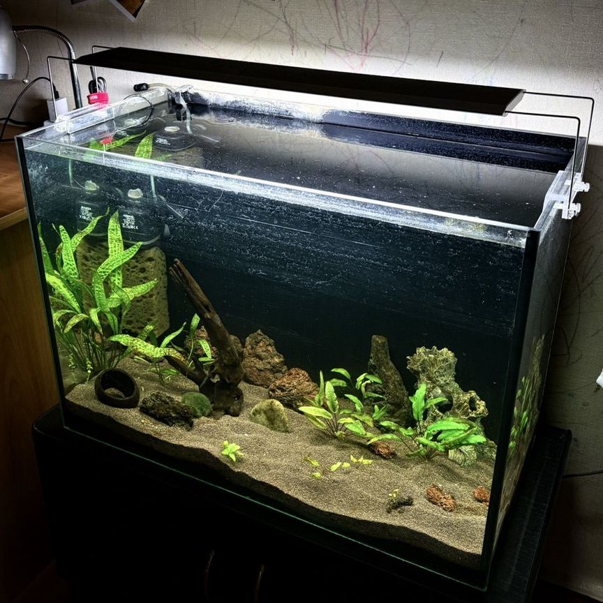 Аквариум с лампой chihiros