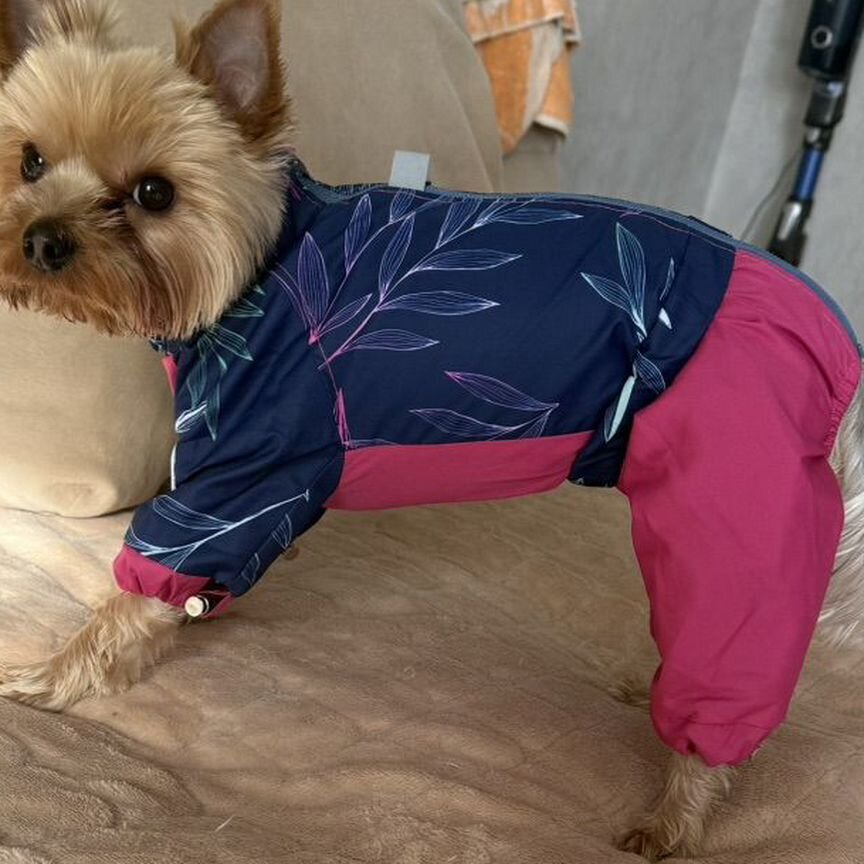 Одежда для маленьких собак