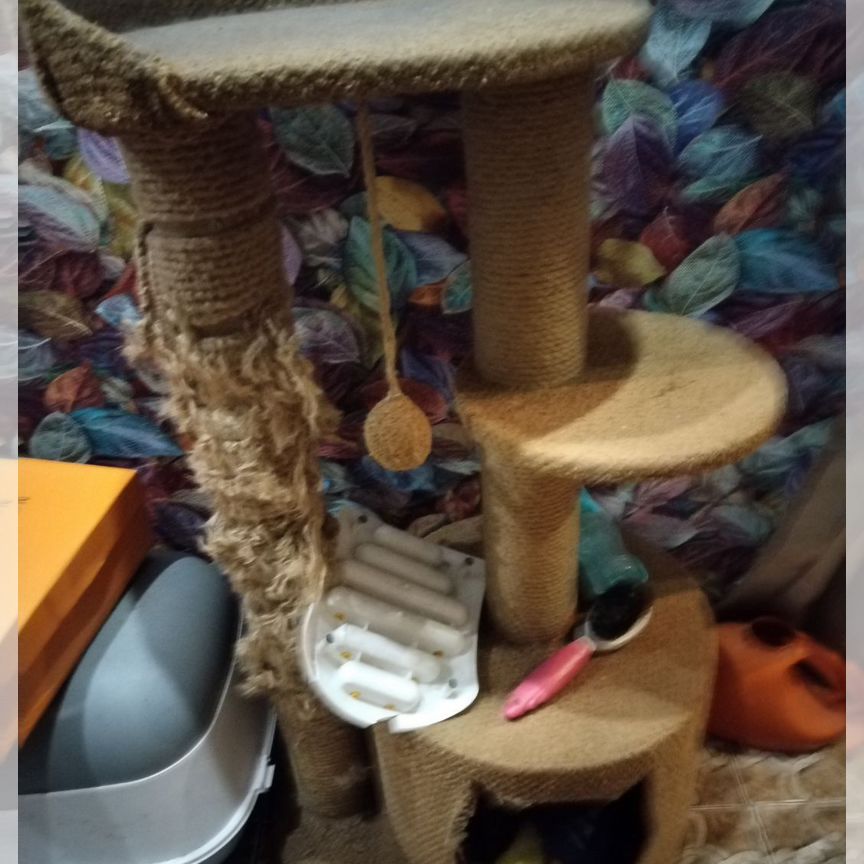 Когтеточка