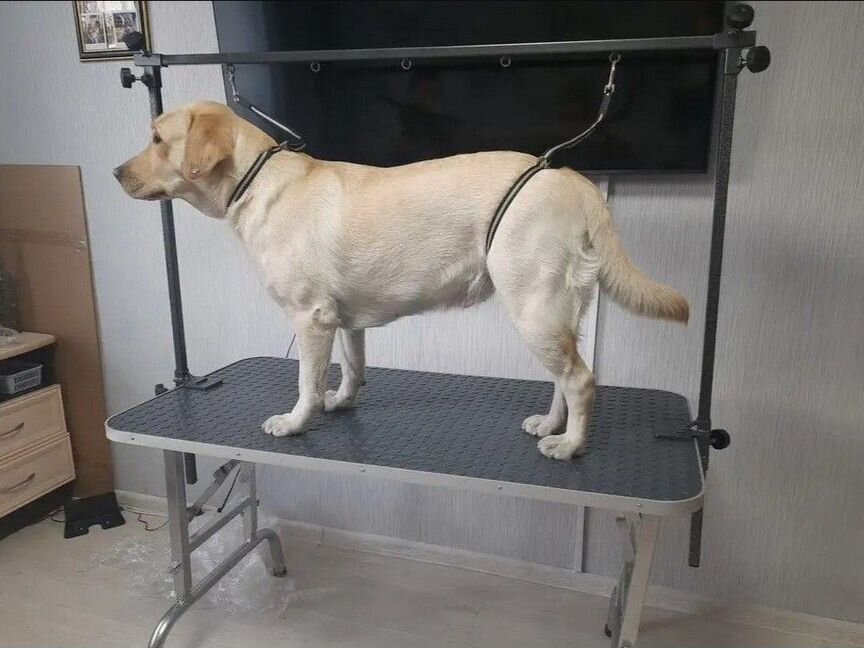 Стол для груминга - стол для стрижки собак 120 * 6