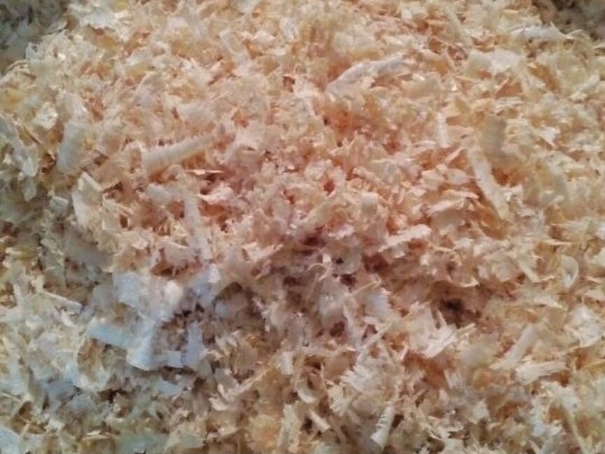 Опилки сосна