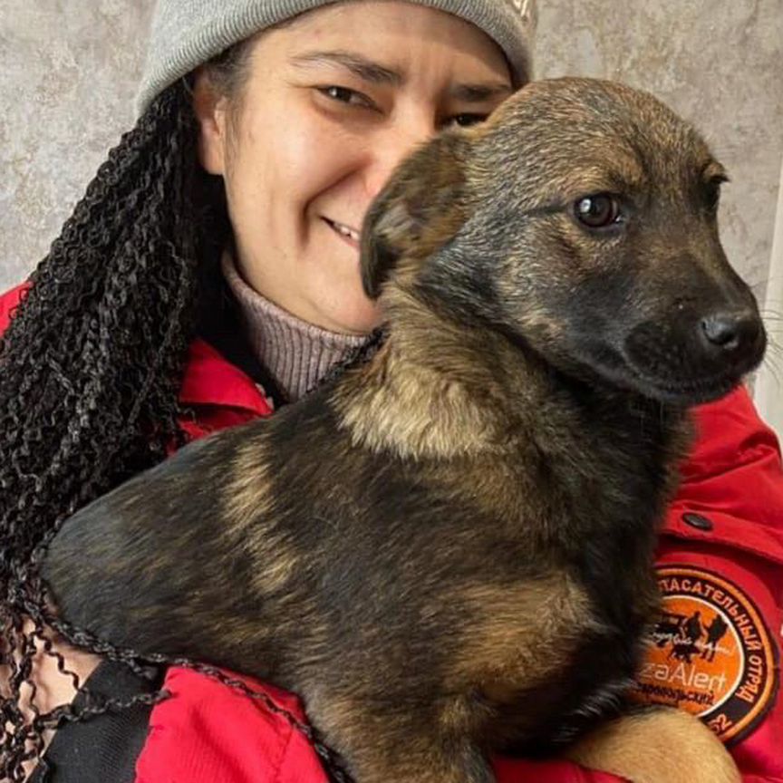 Щеночек для дома и души