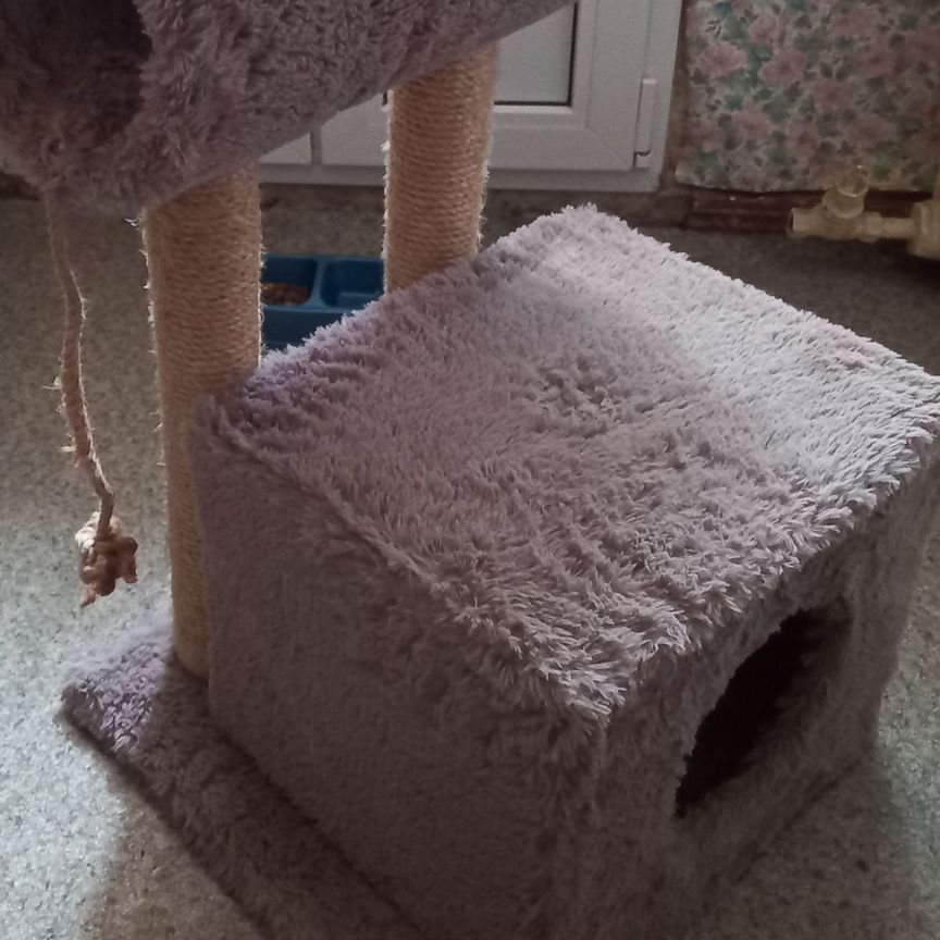 Когтеточка домик для кошки