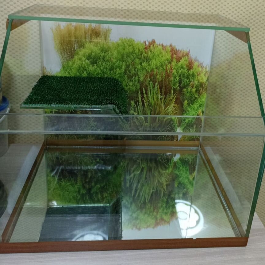 Аквариум для красноухой черепахи