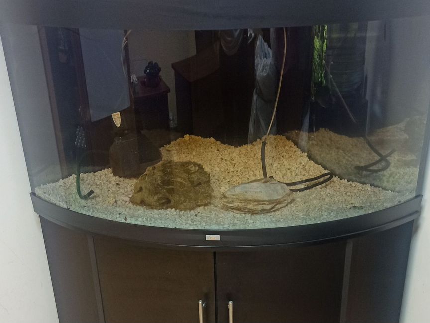 Аквариум Juwel Trigon 350л