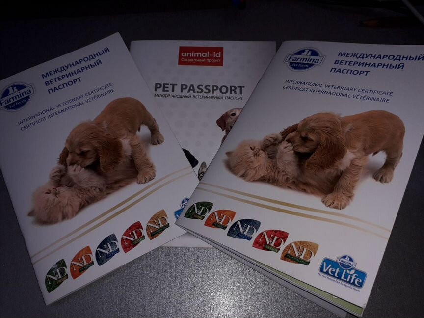 Паспорт для животного
