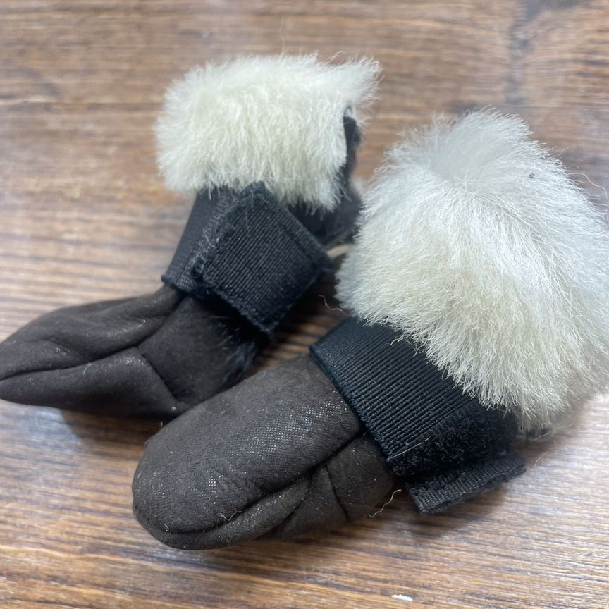 Сапожки для маленьких собак