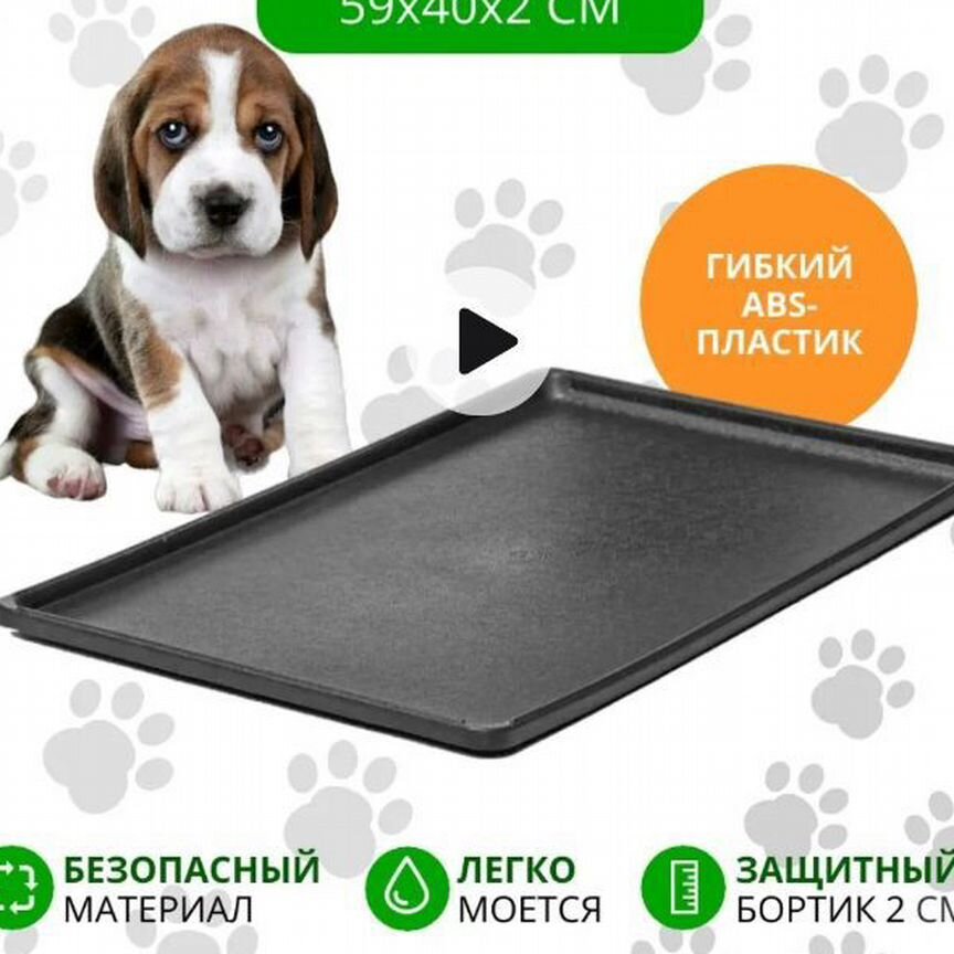 Лоток