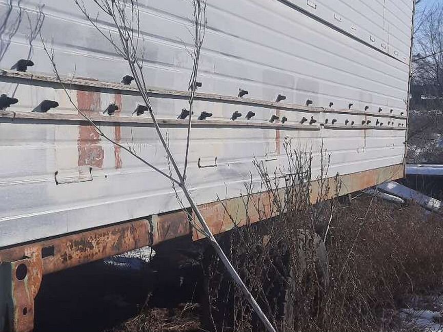 Пчелопавильон