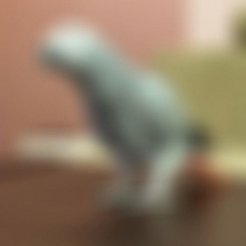 Говорящий попугай