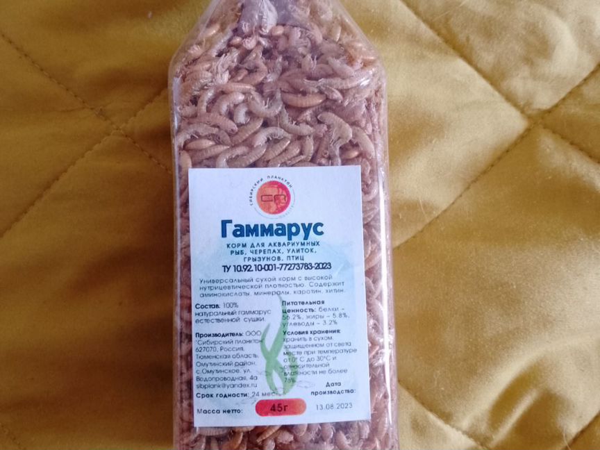 Гаммарус