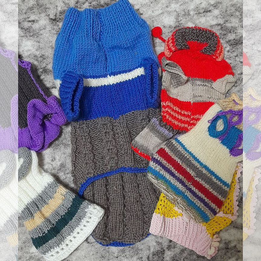 Одежда для собак и кошек