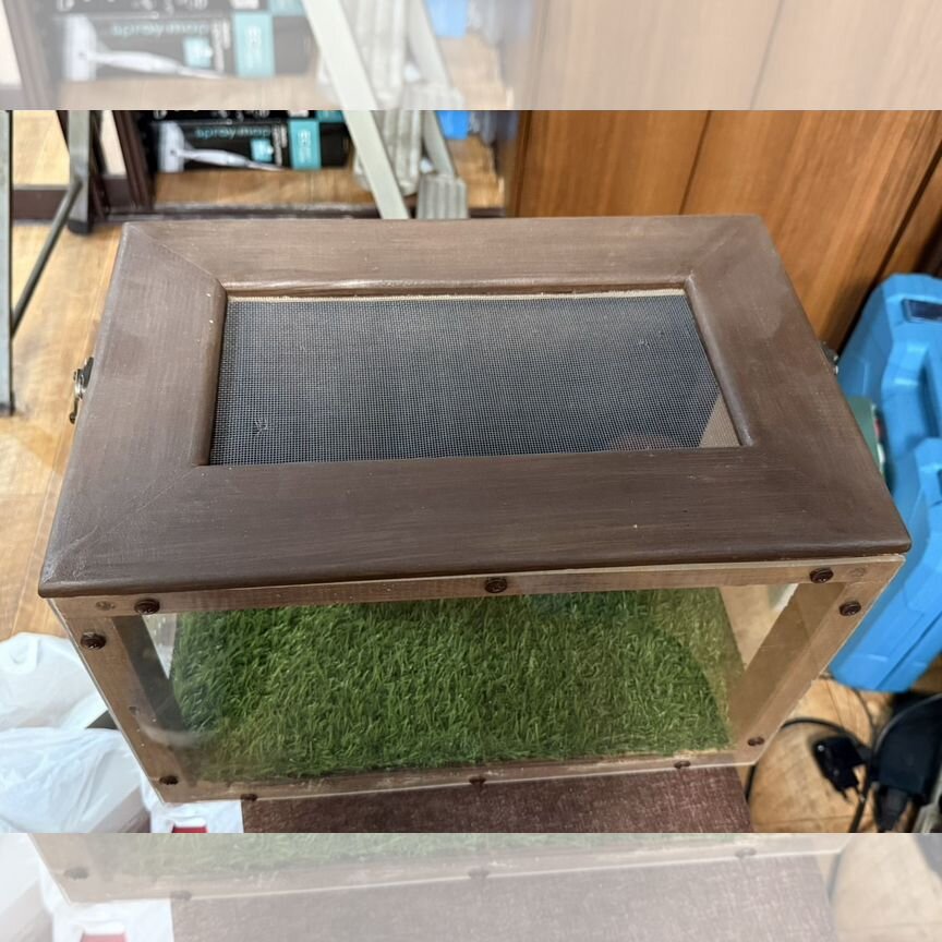 Террариум небольшой для рептилий